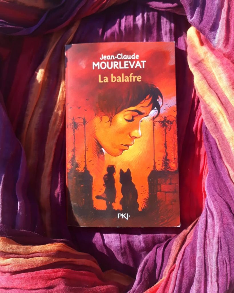 La balafre – Les Livres d'Aglaé